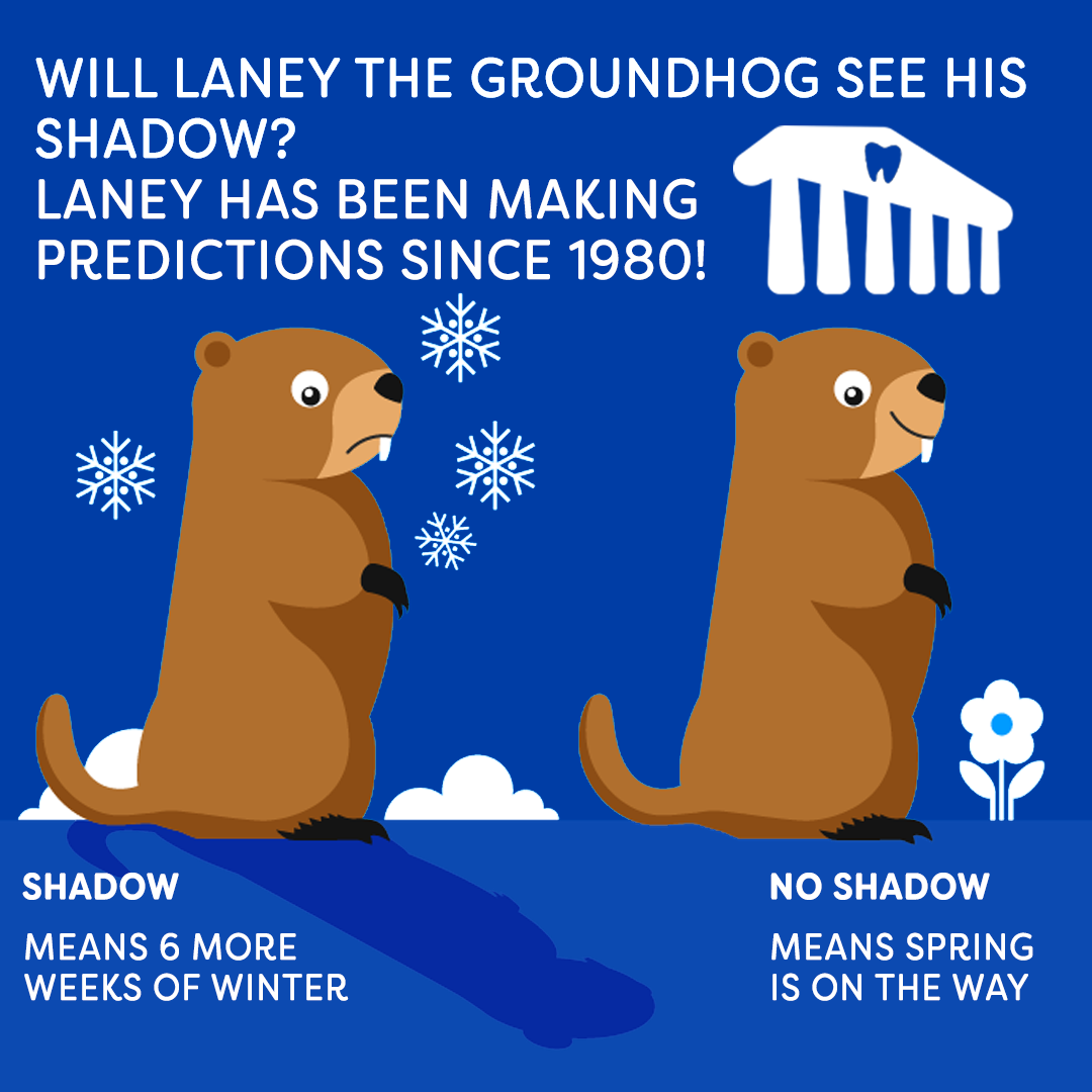 Groundhogs & Other Animals with Interesting Teeth | Lane Dental Blog