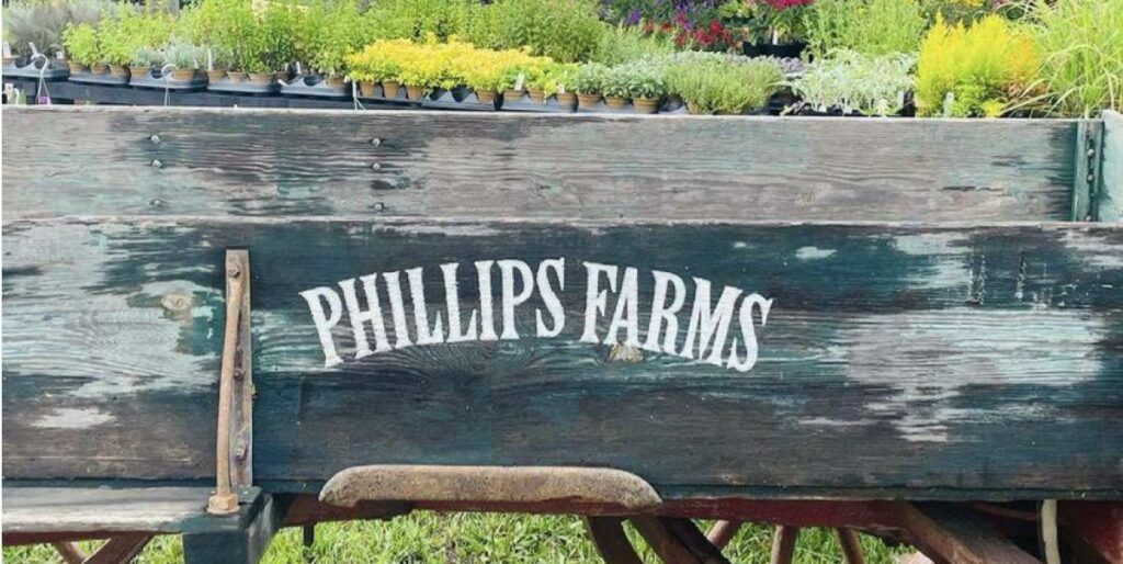 Phillips Farm Strawberry Festival - Lane & Associates