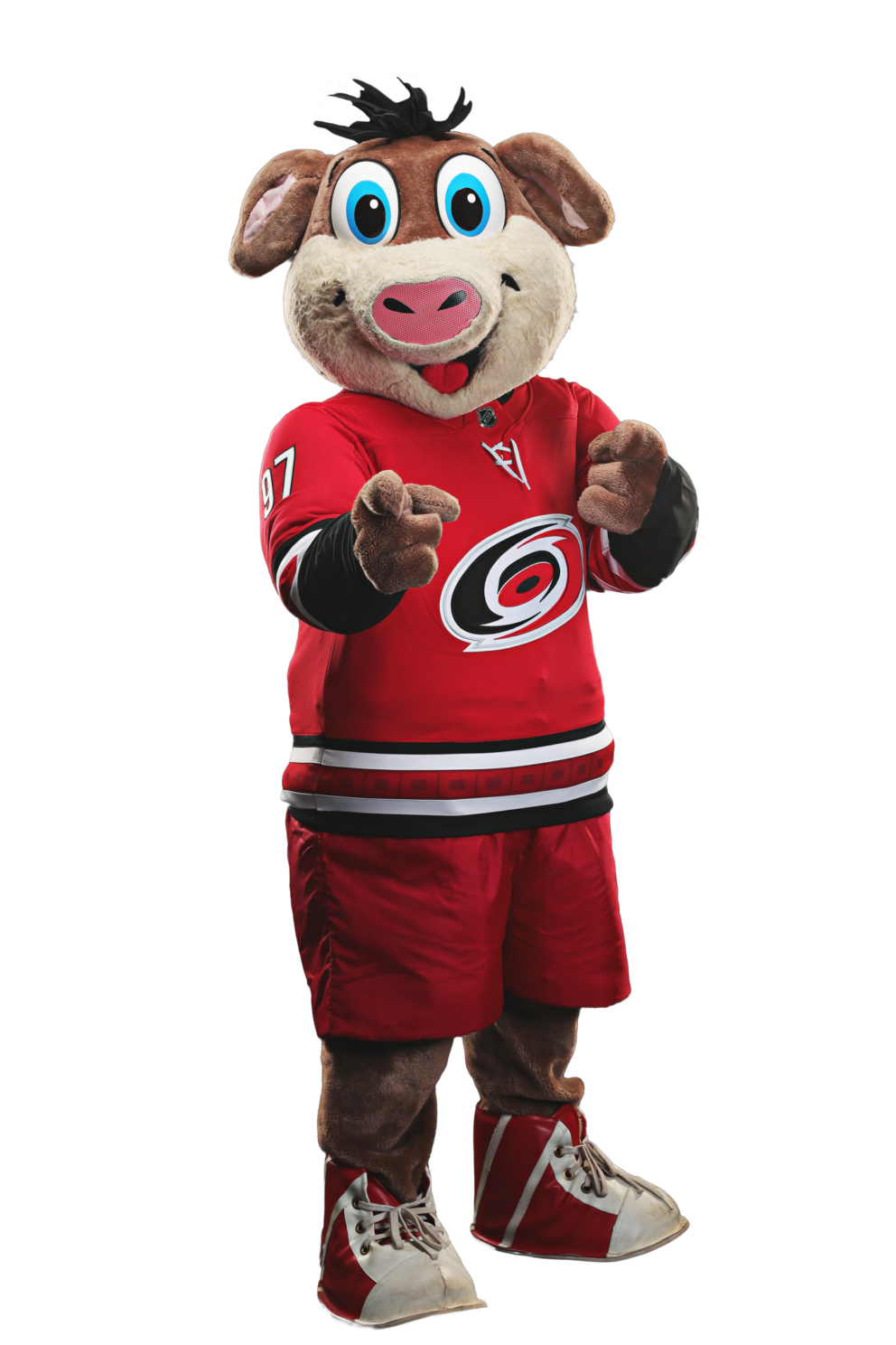 LET'S GO CANES - Lane & Associates