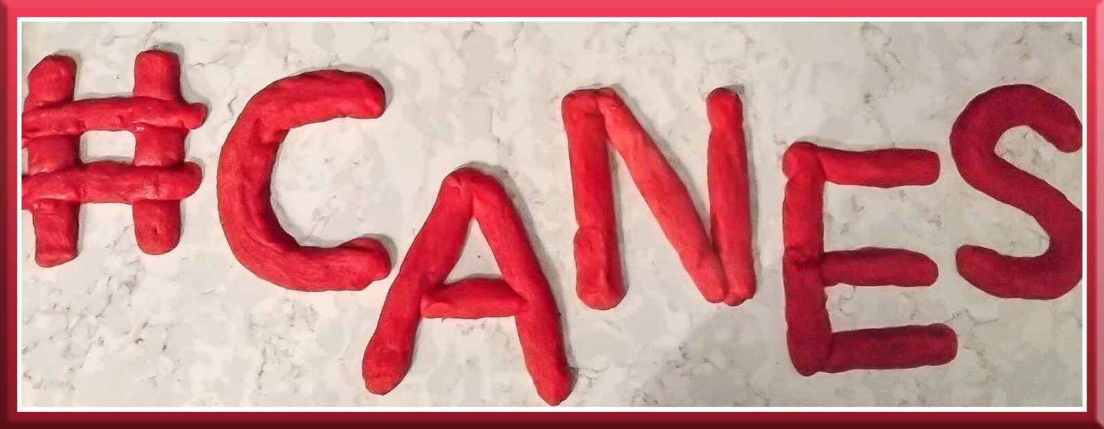 LET'S GO CANES - Lane & Associates